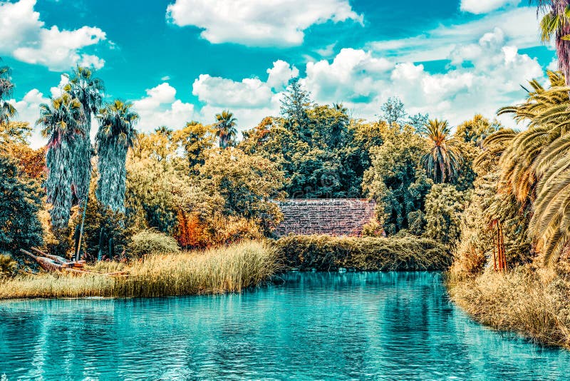Beautiful Landscape of Humid Tropical Jungle Stock Image - Image of ...