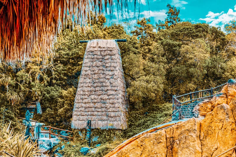 Beautiful Landscape of Humid Tropical Jungle Stock Image - Image of ...