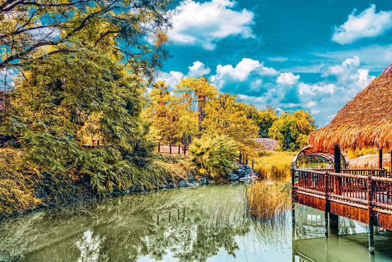 Beautiful Landscape of Humid Tropical Jungle Stock Image - Image of ...