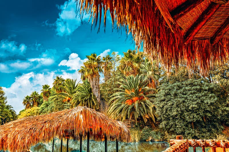 Beautiful Landscape of Humid Tropical Jungle Stock Image - Image of ...