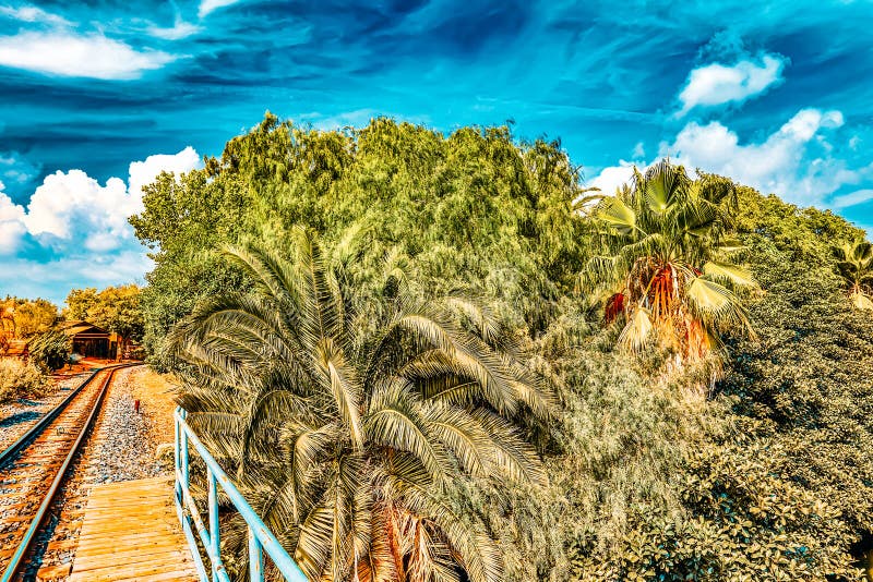 Beautiful Landscape of Humid Tropical Jungle Stock Photo - Image of ...