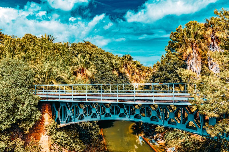 Beautiful Landscape of Humid Tropical Jungle Stock Image - Image of ...