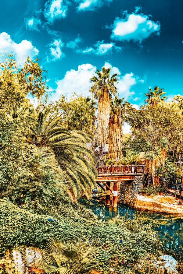 Beautiful Landscape of Humid Tropical Jungle Stock Image - Image of ...