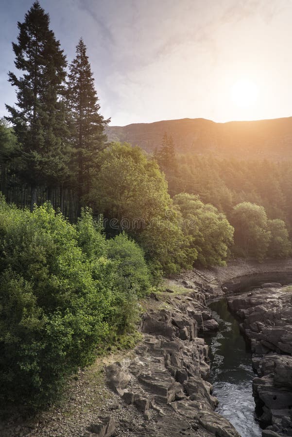 Beautiful Landscape Image of Sunlight Streaming through Trees in Stock ...