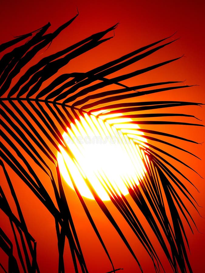 Beautiful Landscape Images of Sunset during Lock Down Stock Photo ...