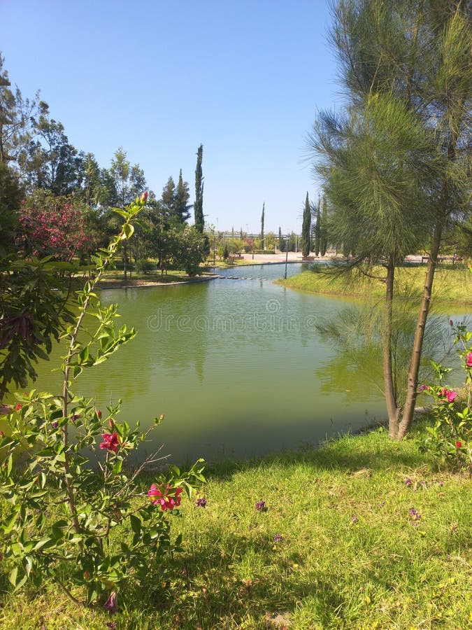 Beautiful Landscape with a Lake in Hawassa Ethiopia Stock Image - Image of stream, waterway ...