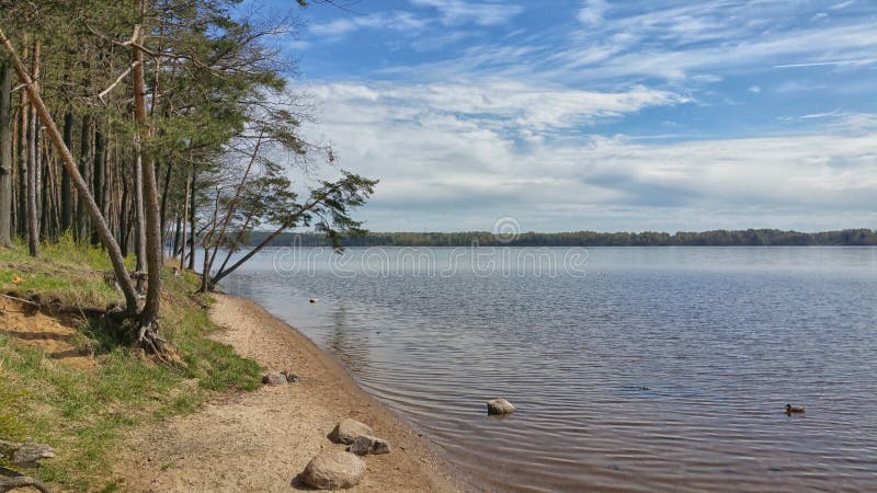 Beautiful Landscape with Lake in Lithuania Stock Photo - Image of white ...