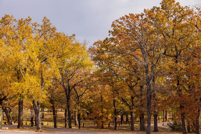 Beautiful Landscape of Lake Murray State Park Stock Photo - Image of ...