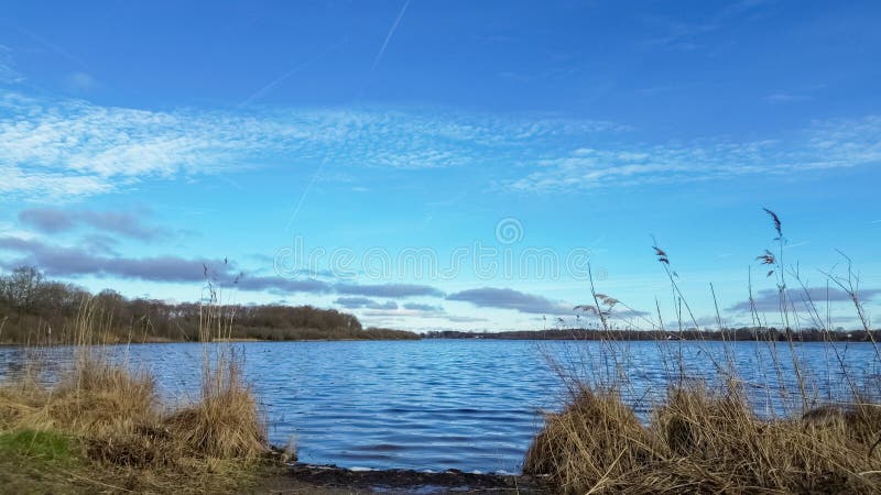 Beautiful Landscape at a Lake with a Reflective Water Surface Stock ...