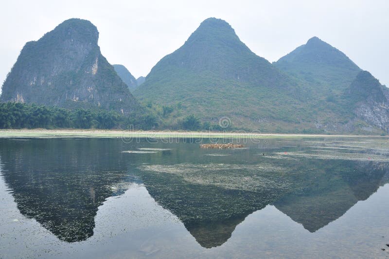 The Beautiful Landscape of Li River in Spring Stock Photo - Image of ...
