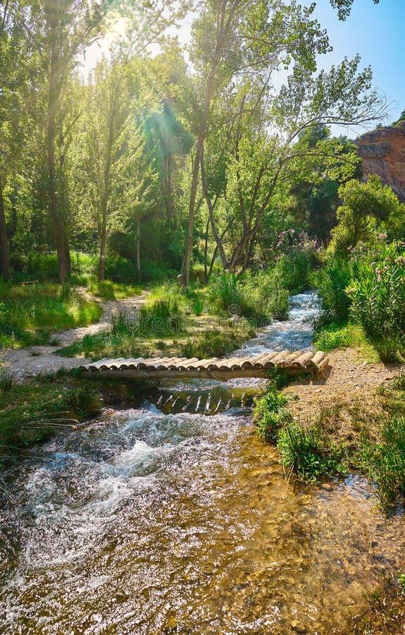 Beautiful Landscape with Log Bridge and Sun Rays on the Trees and ...