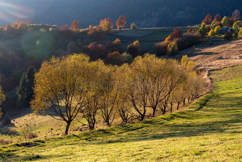 Beautiful Landscape with Magic Autumn Trees Stock Photo - Image of ...