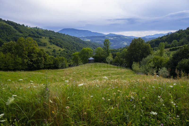 Sunset in Maramures stock image. Image of forest, light - 194077803