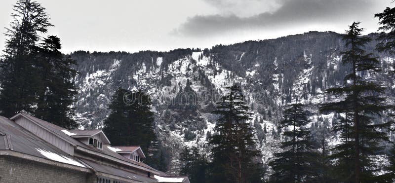 A Beautiful Landscape of Mountain Covered with Alpine Trees in Manali ...