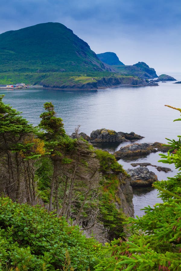Beautiful landscape stock photo. Image of inlet, newfoundland - 51076626