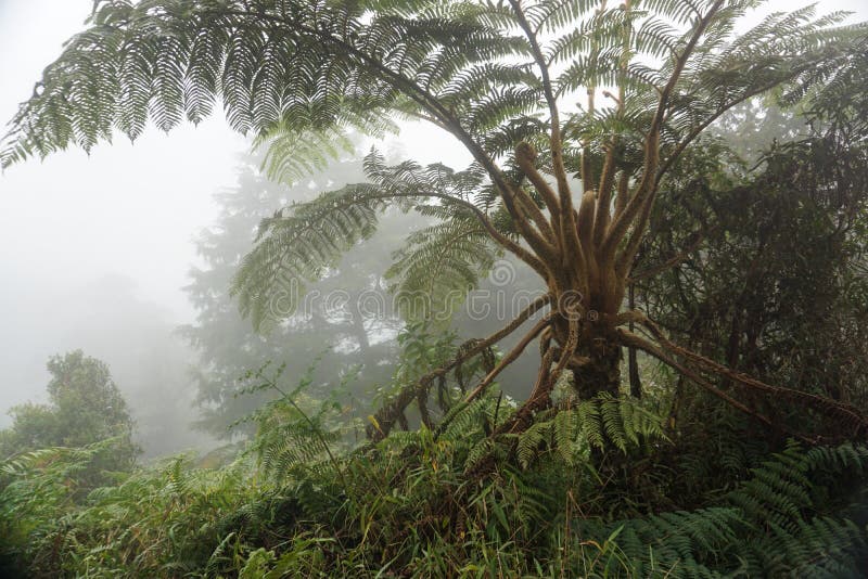 Beautiful Landscape of Central Java Indonesia Stock Image - Image of ...