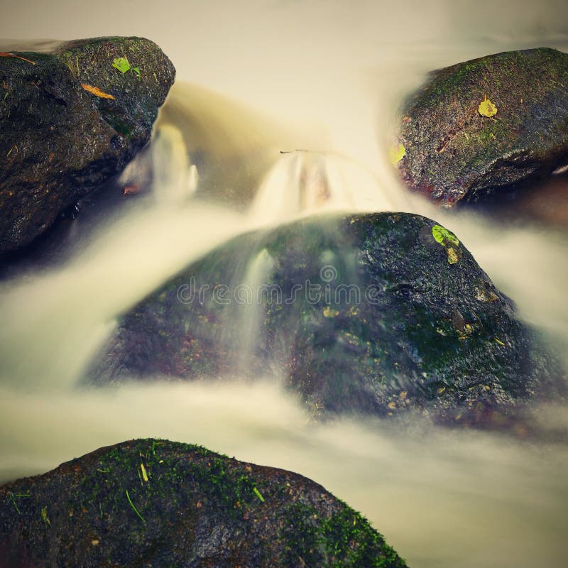 Beautiful Landscape with Nature and River with Stones in the Forest ...