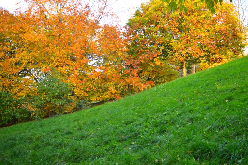 Beautiful landscape stock image. Image of meadow, outdoor - 193469041