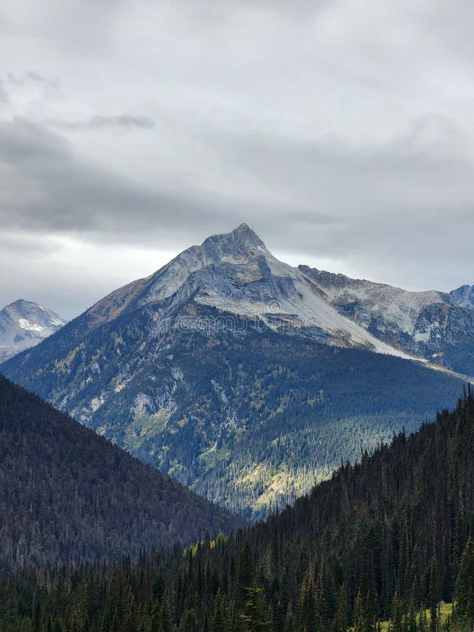 Beautiful Landscape Over the Wide Forest with Mountains in the Gloomy ...