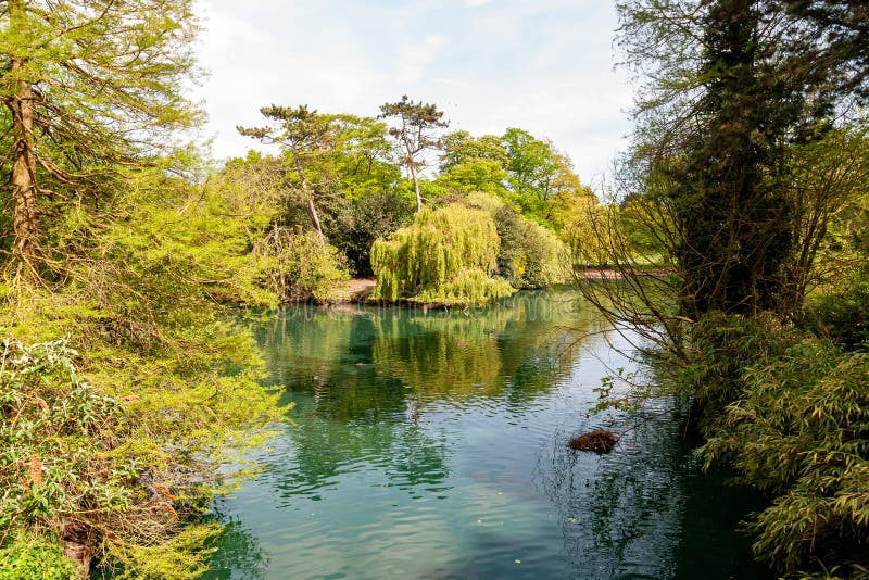 Beautiful Landscape in a Park in Wolverhampton. England Stock Photo ...