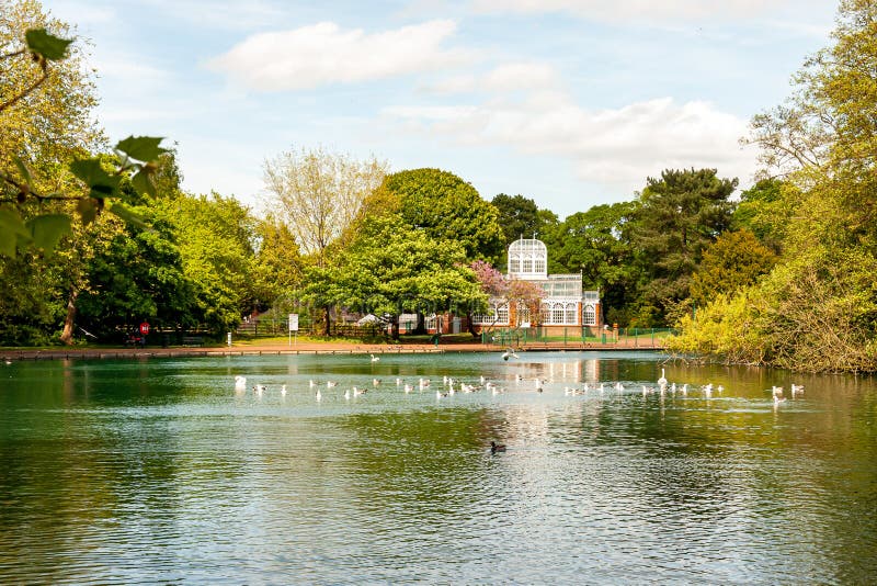 Beautiful Landscape in a Park in Wolverhampton. England Stock Image ...