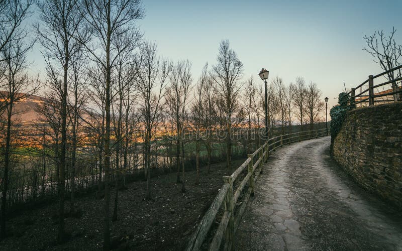 Beautiful Landscape with a Pathway among Trees Stock Image - Image of ...