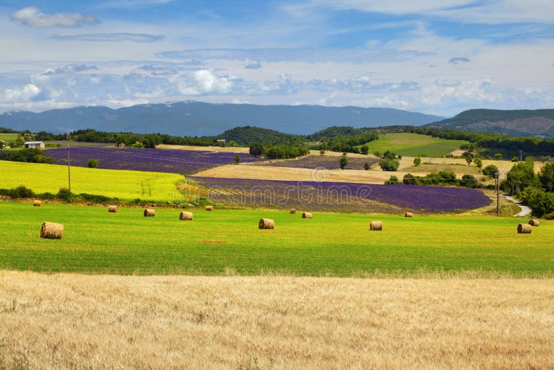 Beautiful Landscape of Provence Stock Image - Image of summer, farm ...