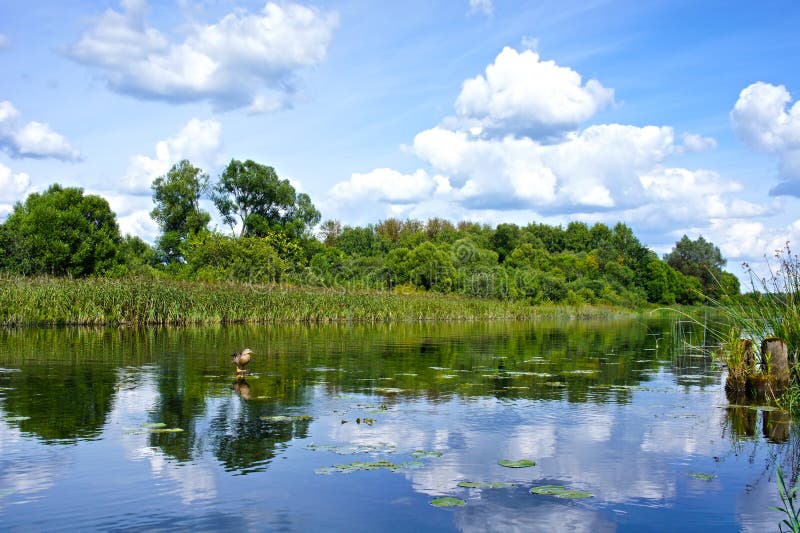 Beautiful Landscape with Reflection on River Blue Sky and Clouds Stock ...