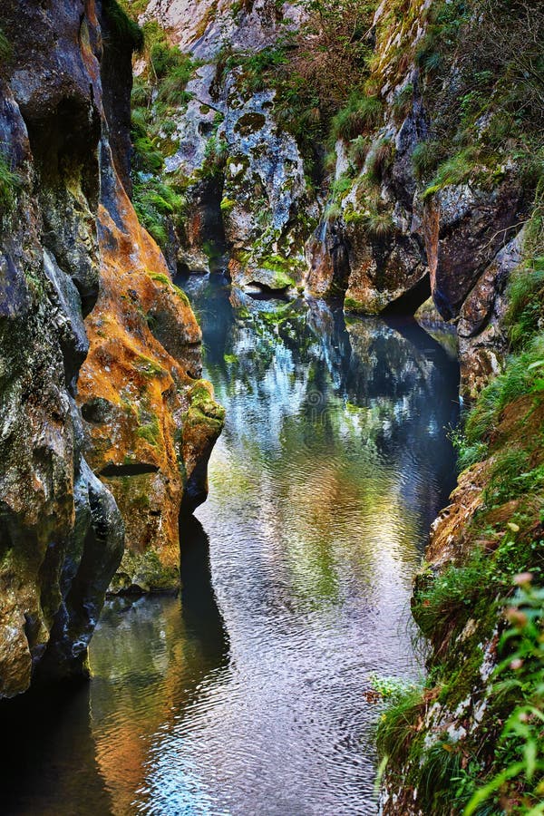 Beautiful Landscape with a River Stock Image - Image of flora, moss ...