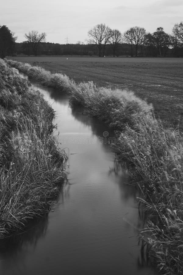 Beautiful Landscape with River and Tree in Black and White Stock Photo ...