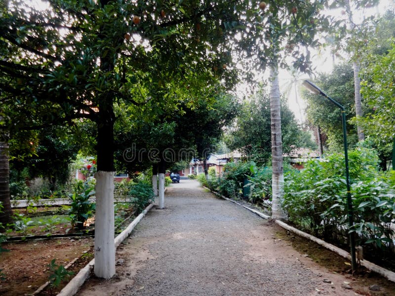 Beautiful Landscape of Rural Kerala Stock Image - Image of tourism ...