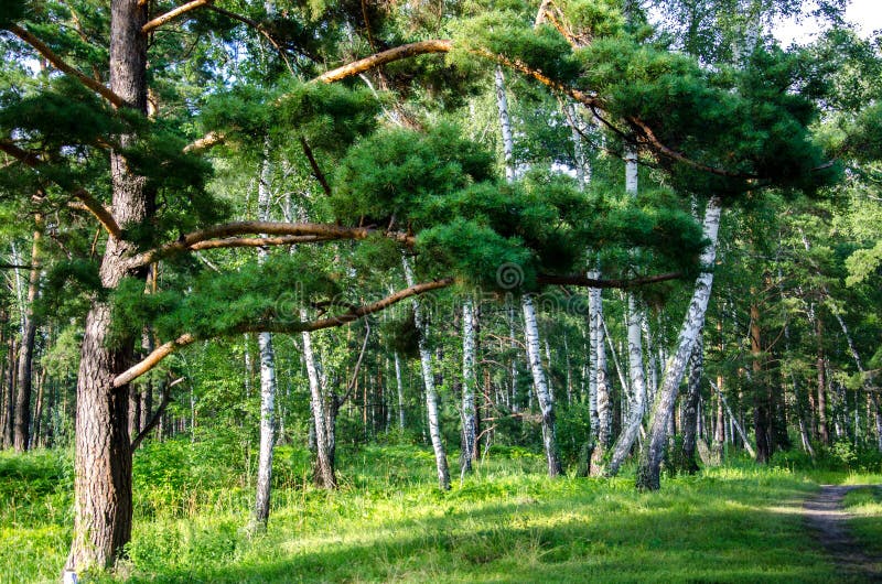 Beautiful Landscape, Russian Nature Stock Image - Image of cloud ...