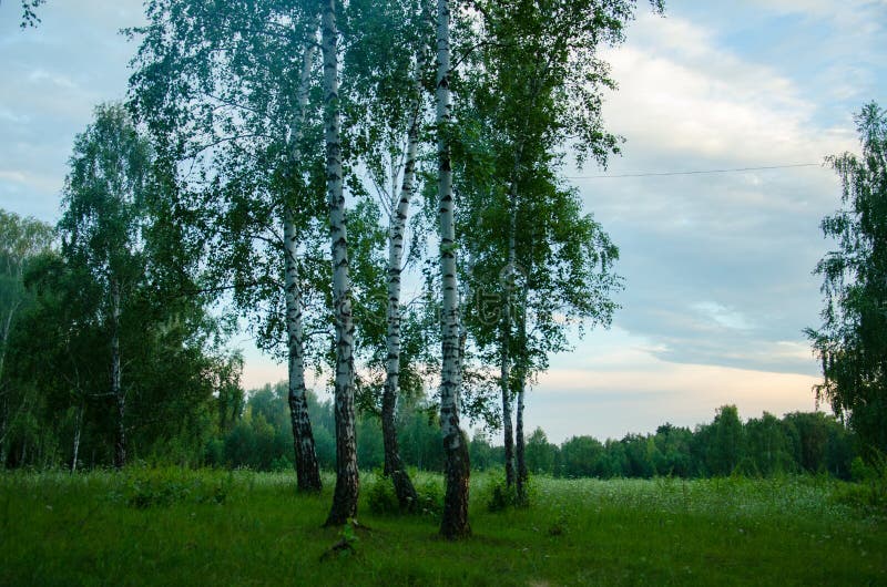 Beautiful Landscape, Russian Nature Stock Photo - Image of nature ...