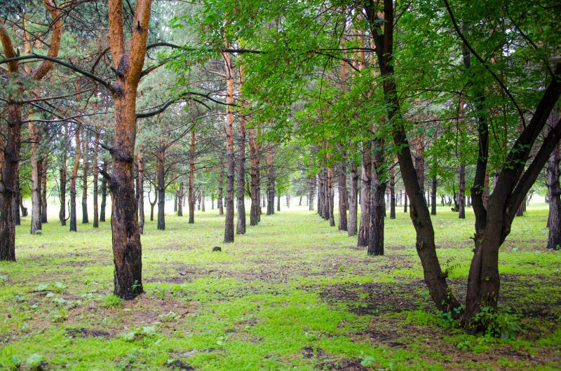 Beautiful Landscape, Russian Nature Stock Image - Image of russia ...