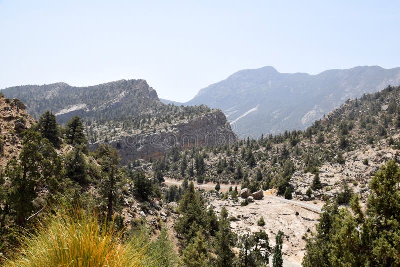 Sanober Stock Photos - Free & Royalty-Free Stock Photos from Dreamstime