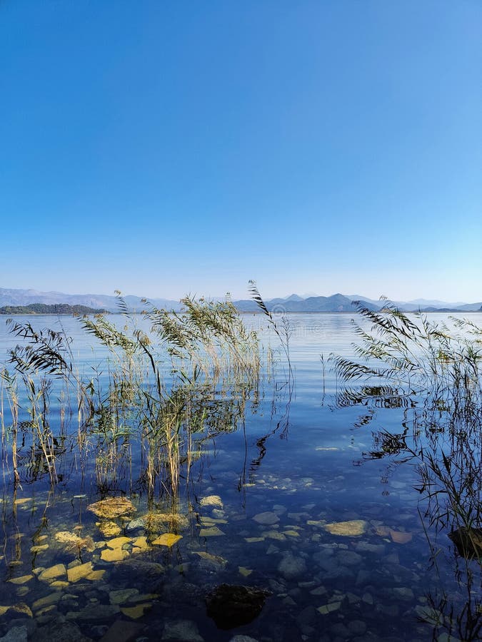 Beautiful Landscape on the Shore of the Lake Stock Image - Image of ...