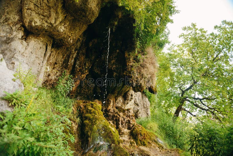 Beautiful Landscape with Small Waterfalls in Dense Forest Stock Image ...