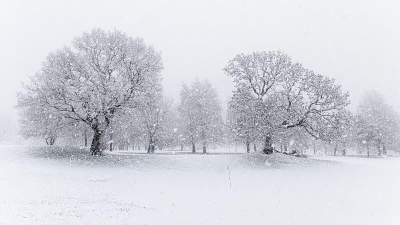 Beautiful Landscape of Snow Covering the Park with Trees Stock Photo ...