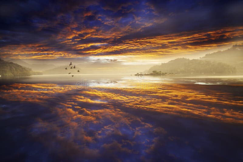 Beautiful Landscape with a Some Bird Flying Stock Photo - Image of ...
