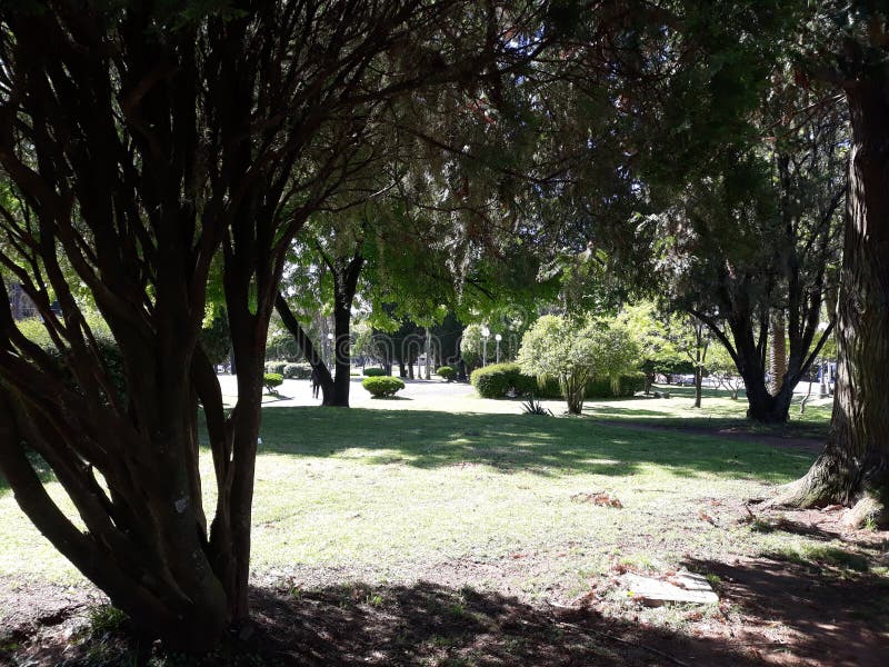 Beautiful Landscape in a Square Stock Image - Image of square, lots ...