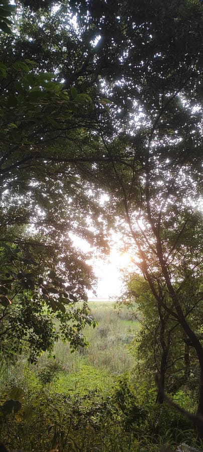 Beautiful Landscape -sun Rising Stock Image - Image of rising ...