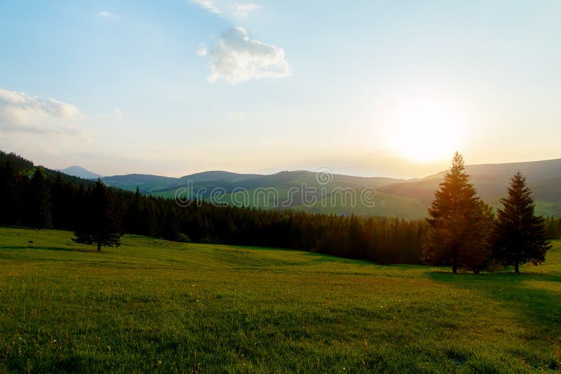 Beautiful Landscape in the Sunset. Meadow and Trees. Stock Photo ...
