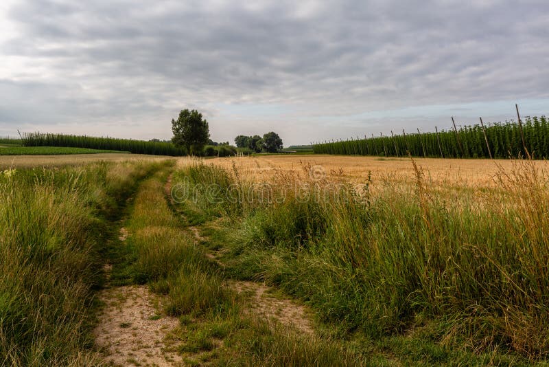 Beautiful Landscape with Trail in the Fields Stock Photo - Image of ...