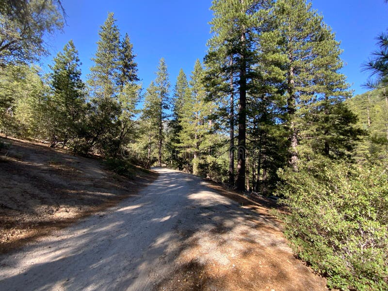 Beautiful Landscape of a Trail and Green Trees on a Sunny Day Stock ...