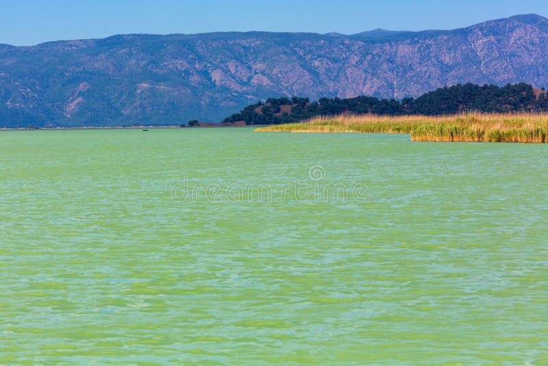 Beautiful Landscape with Turquoise Water Stock Image - Image of park ...