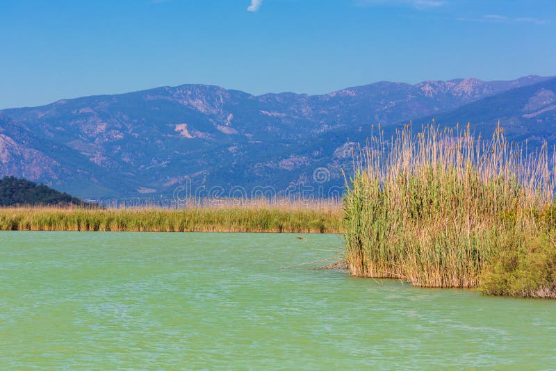 Beautiful Landscape with Turquoise Water Stock Photo - Image of color ...