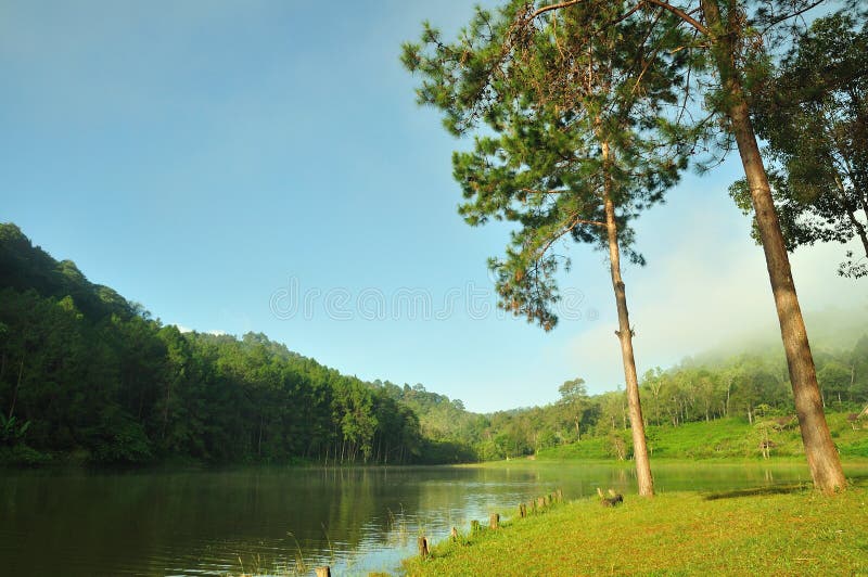 Beautiful Landscape View, Fresh Natural Background. Stock Image - Image ...