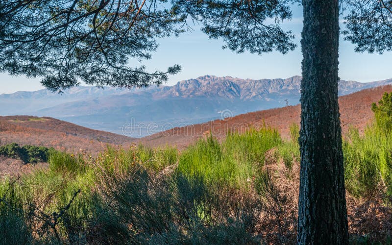 Beautiful Landscape View with a Mountain Range in Front Seen through ...