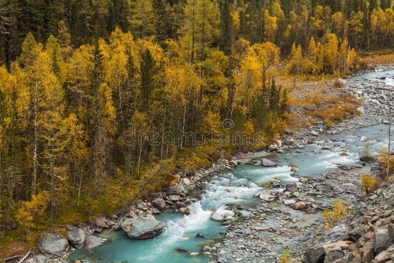 Beautiful Landscape with a View of a Mountain Stream Stock Photo ...