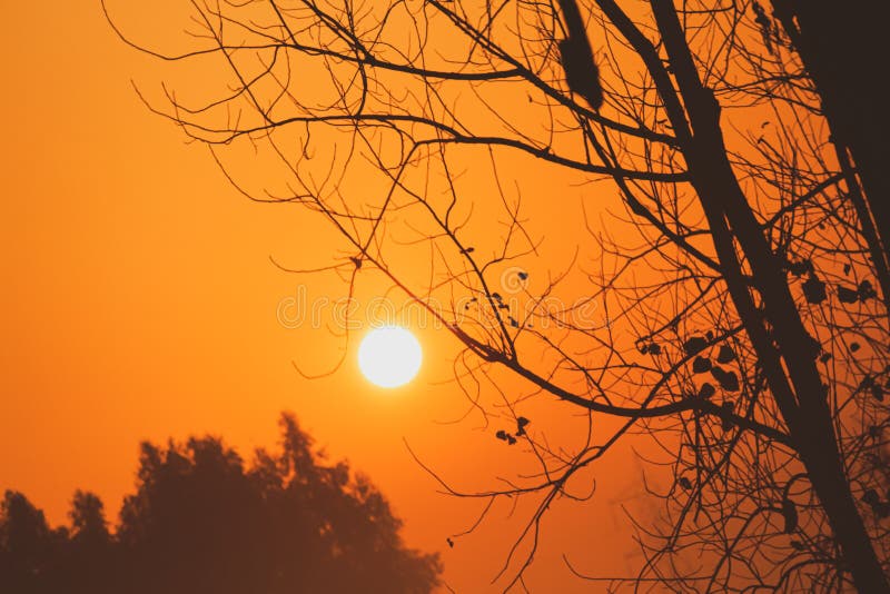 A Beautiful Landscape of Sun Rising Over the River Stock Image - Image ...